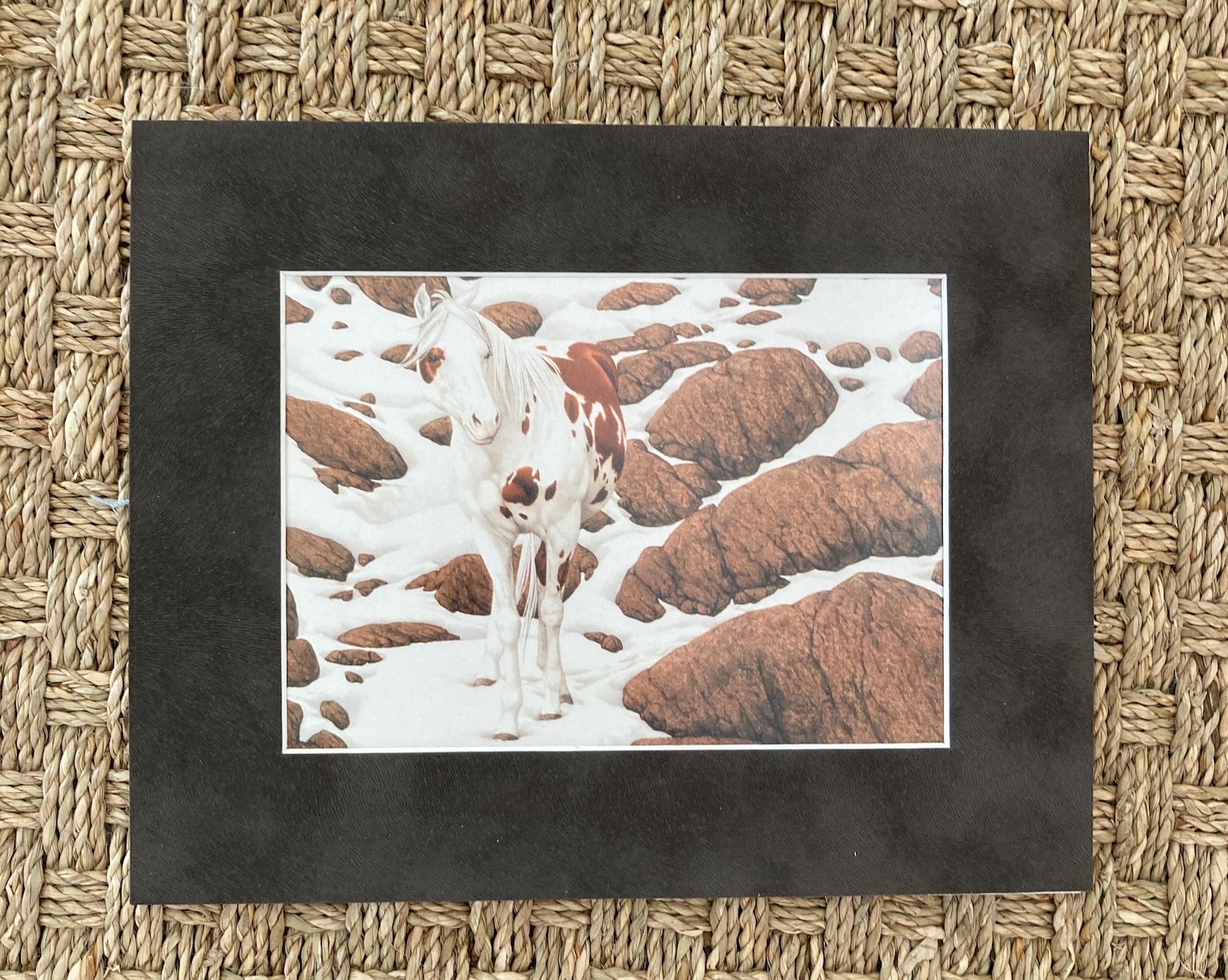 Bev Doolittle Art Card Print: Hide and Seek Pinto Horse, Matted 8x10 - Etsy