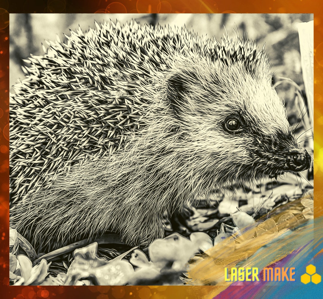 Digital Laser Cut File Hedgehog Laser-ready-file-glowforge Fiber Laser ...