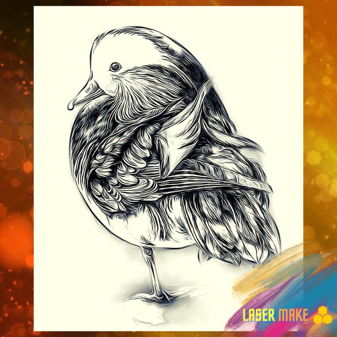 Digital Laser Cut File Bird Laser-ready-file-glowforge Fiber Laser File ...