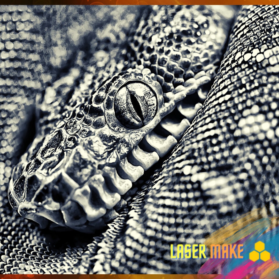 Digital Laser Cut File - Snake - Laser-ready-file-glowforge - Fiber ...