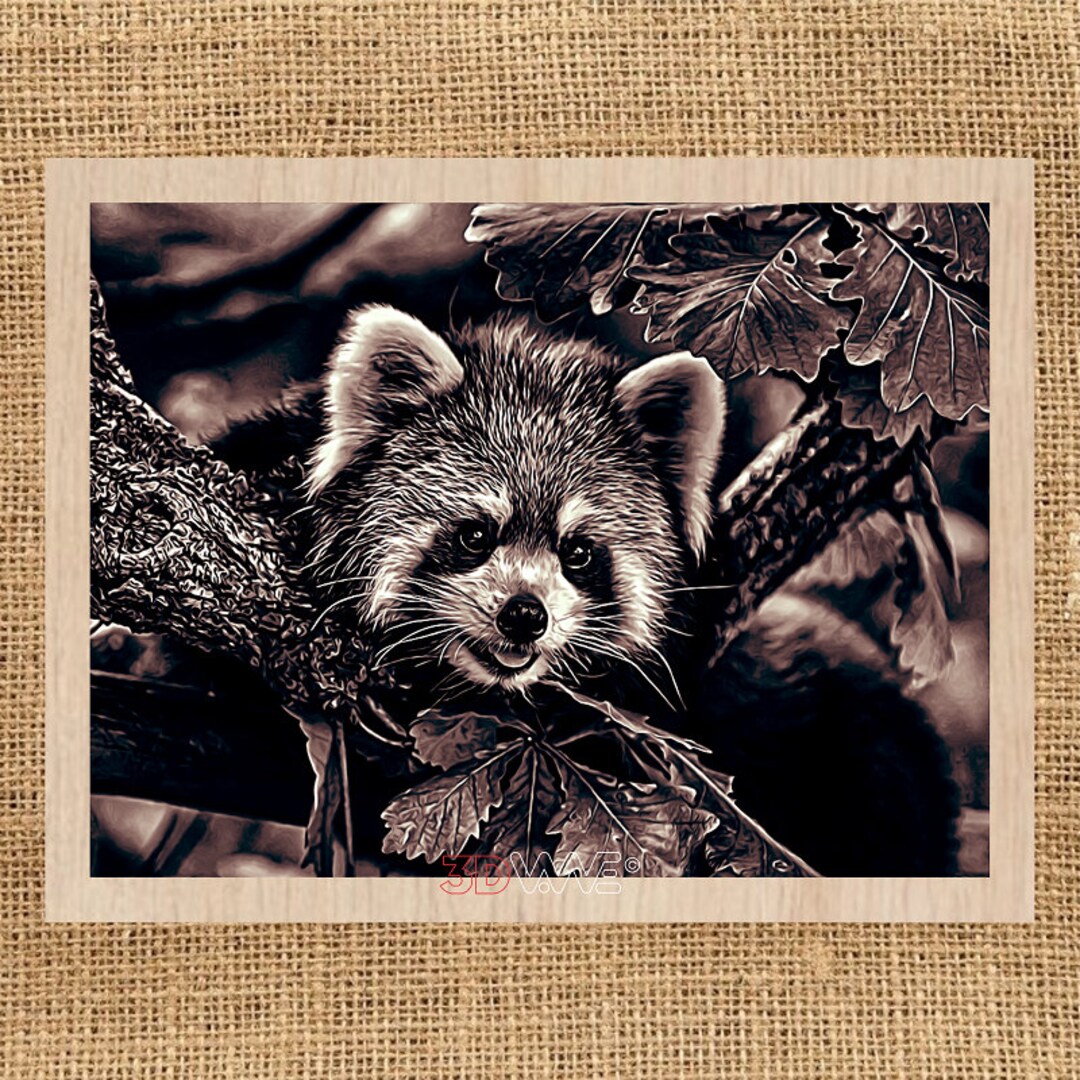 Digital Laser Cut File - RACCOON - Laser Cut Files for Glowforge ...