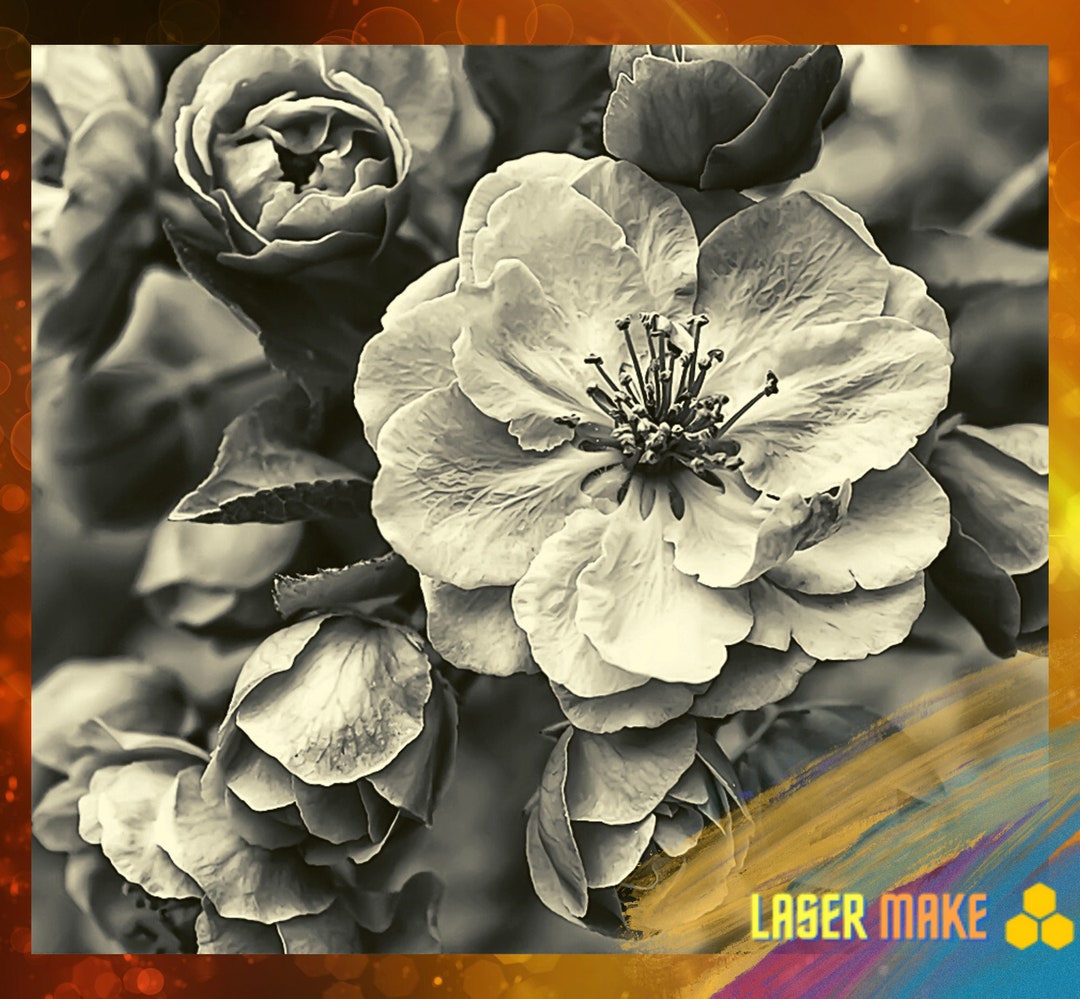 Digital Laser Cut File - Flower- Laser-ready-file-glowforge - Fiber ...