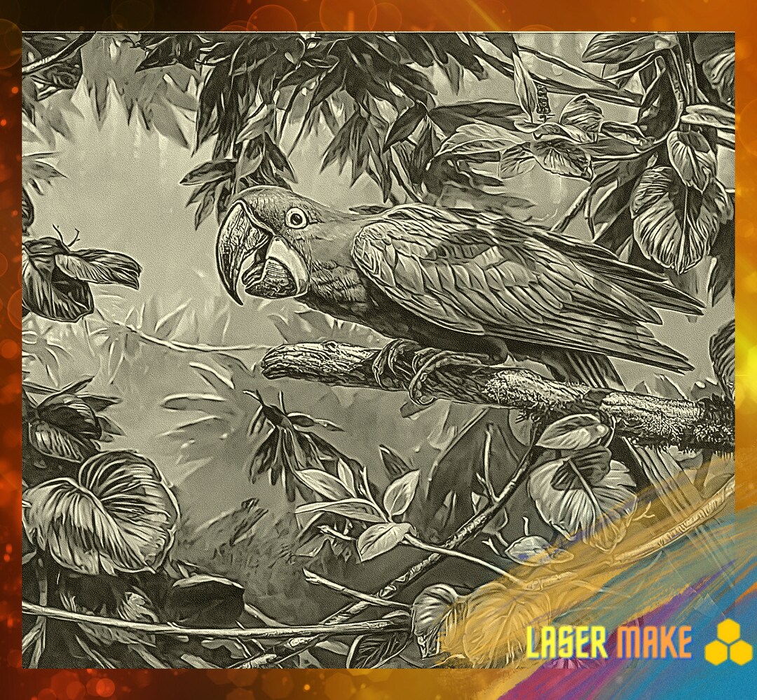 Digital Laser Cut File - Parrot - Laser-ready-file-glowforge - Fiber ...