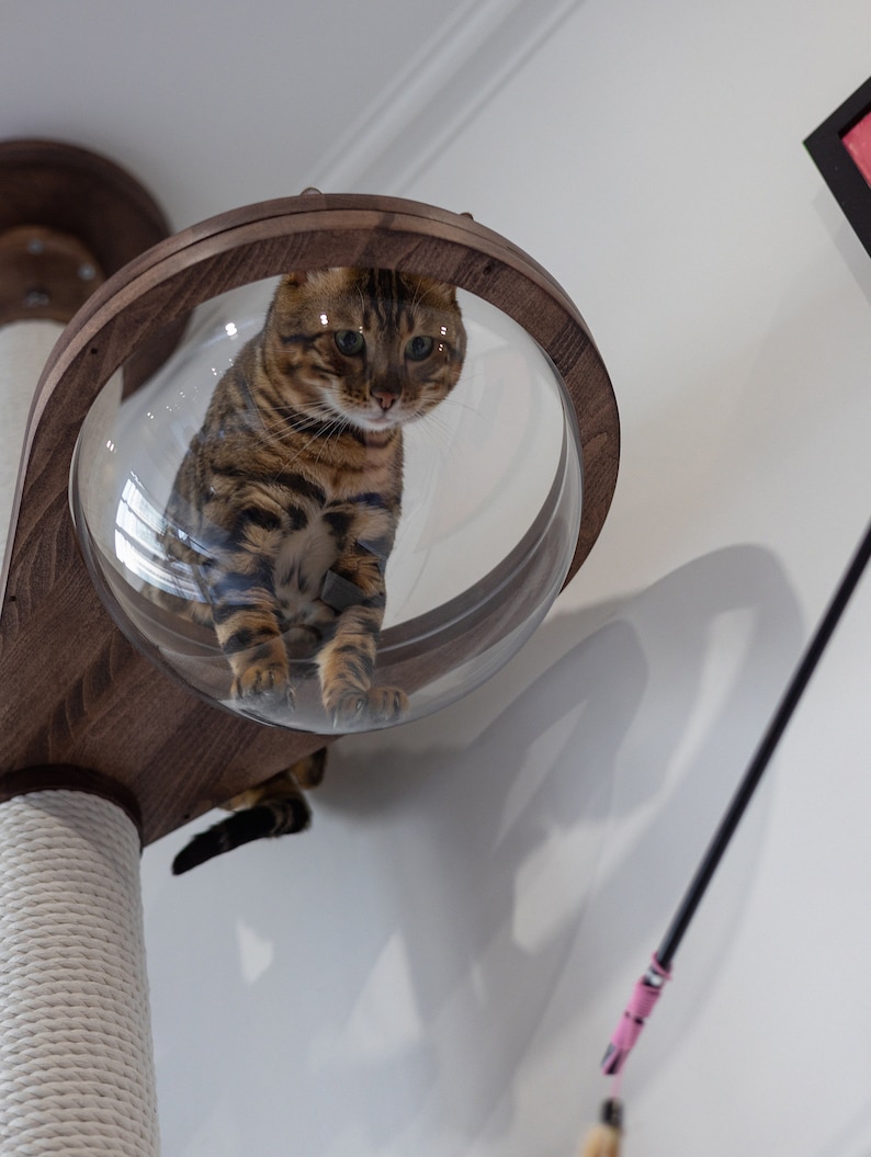 Cat Adjustable Tower Floor to Ceiling Cat Tower Wood Cat Tree | Etsy