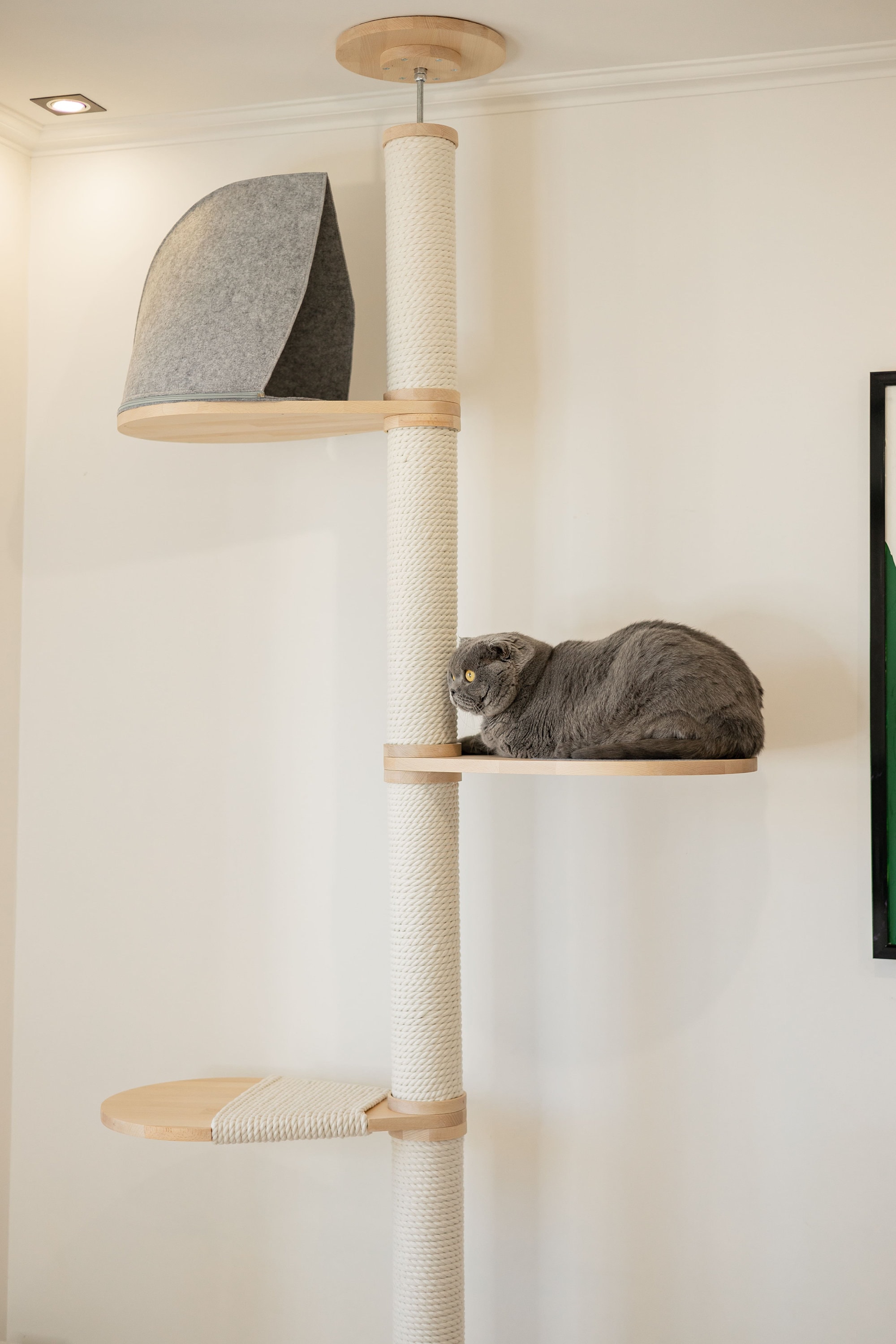 Floor to Ceiling Cat Tree, Adjustable Height Cat Tree, Cat Climbing ...