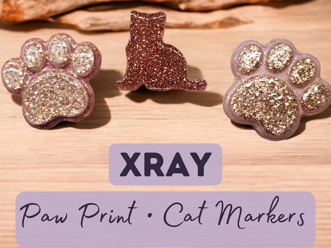 Cat Xray Markers Paws Xray Markers Xray Markers - Etsy