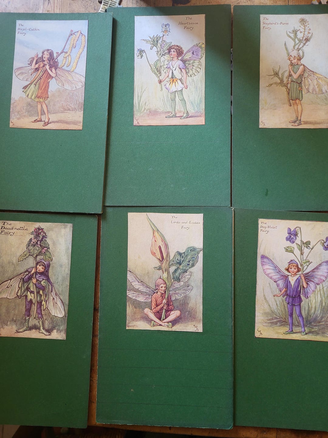 Vintage Flower Fairies Prints - Etsy