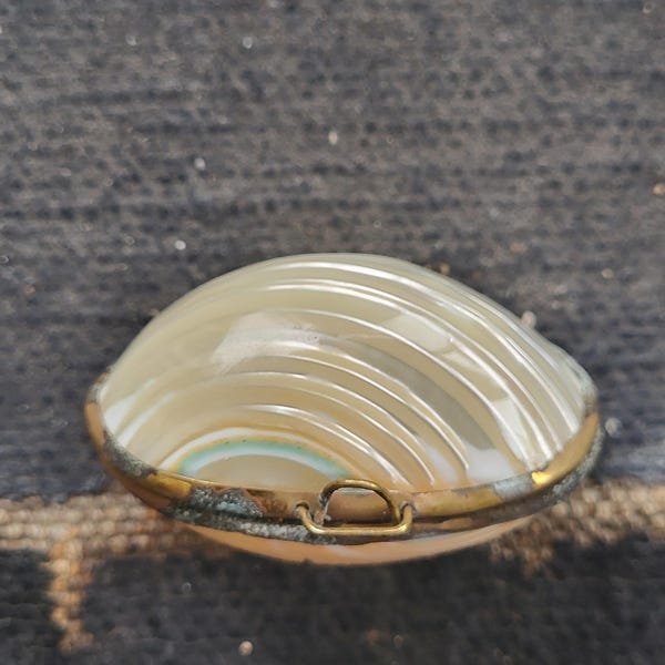 Antique Shell Purse - Etsy