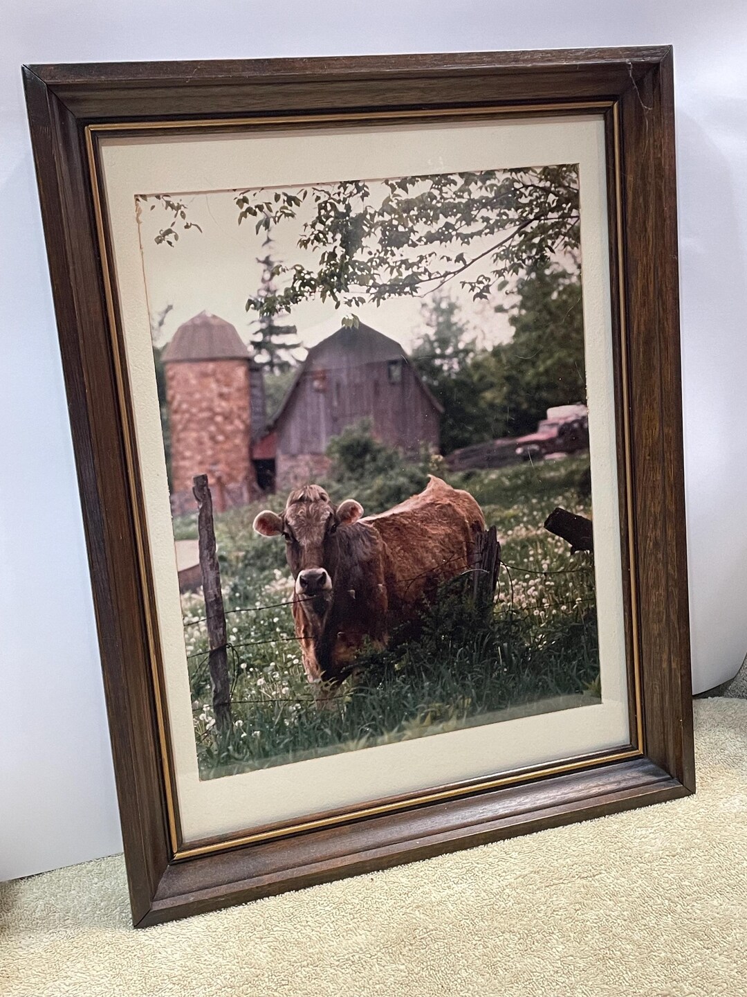 Wisconsin Milk Cow Heffer Picrure Country Farmehouse Chic Decor Vintage ...