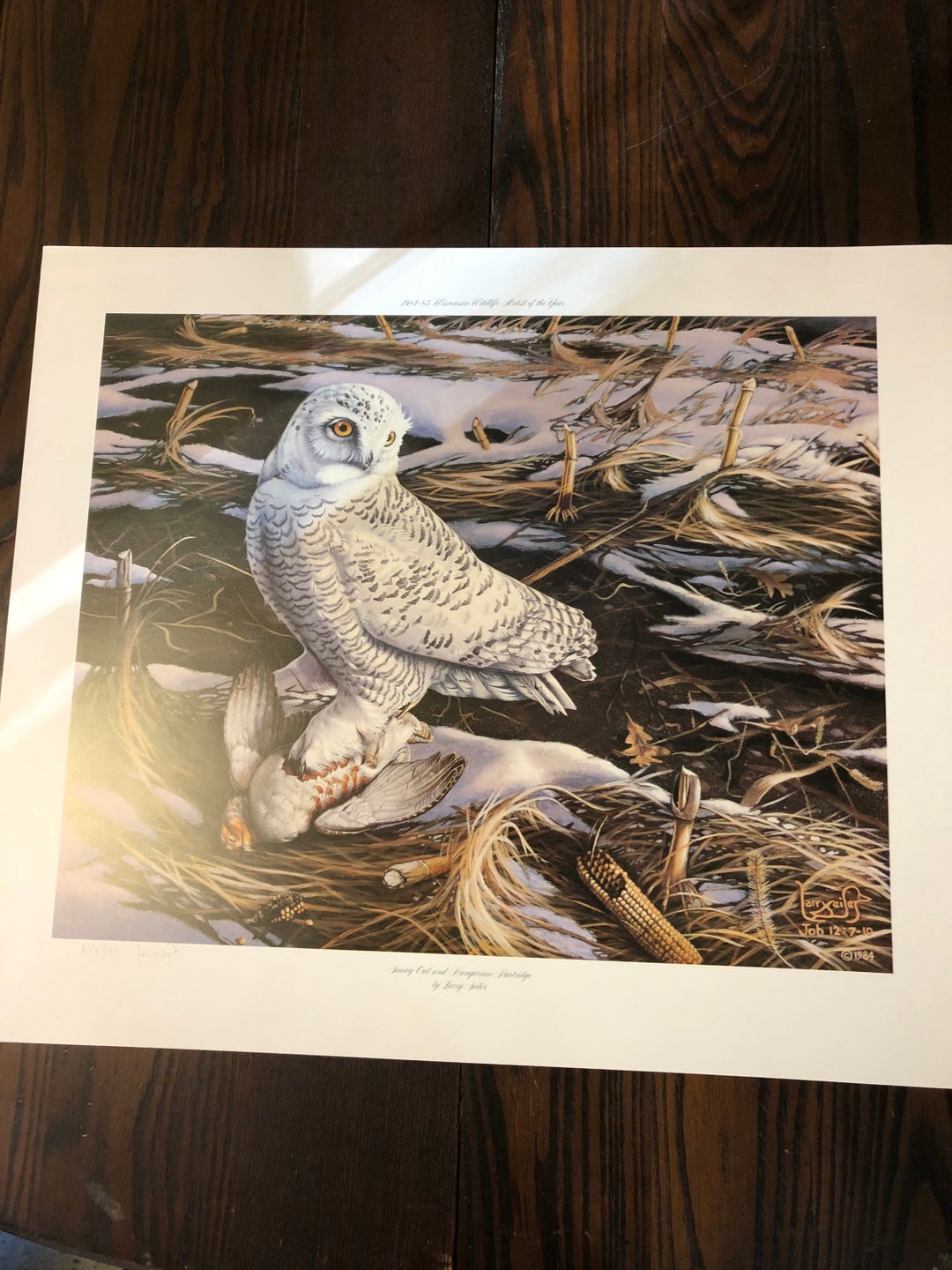 Original Vintage Wild Nature Snowy Owl and Hungarian Partridge Limited ...
