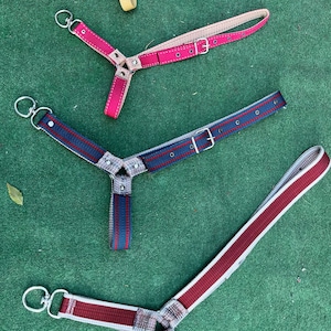 Webbing Cow Halter Adjustable Standard Size With Bell Option - Etsy