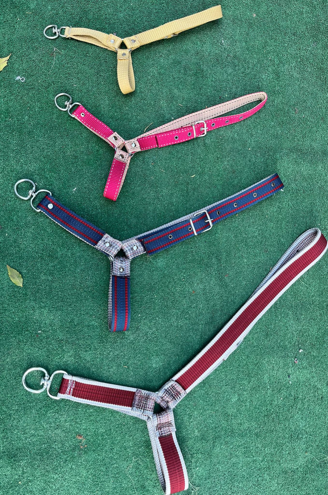 Webbing Cow Halter Adjustable Standard Size With Bell Option - Etsy