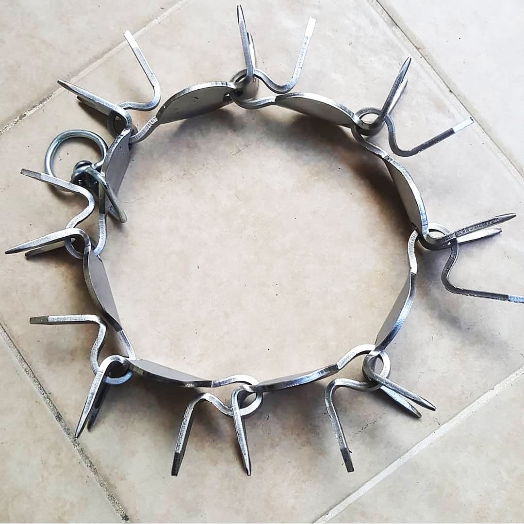 Pronged Steel Dog Collar Kangal With Bell - Etsy