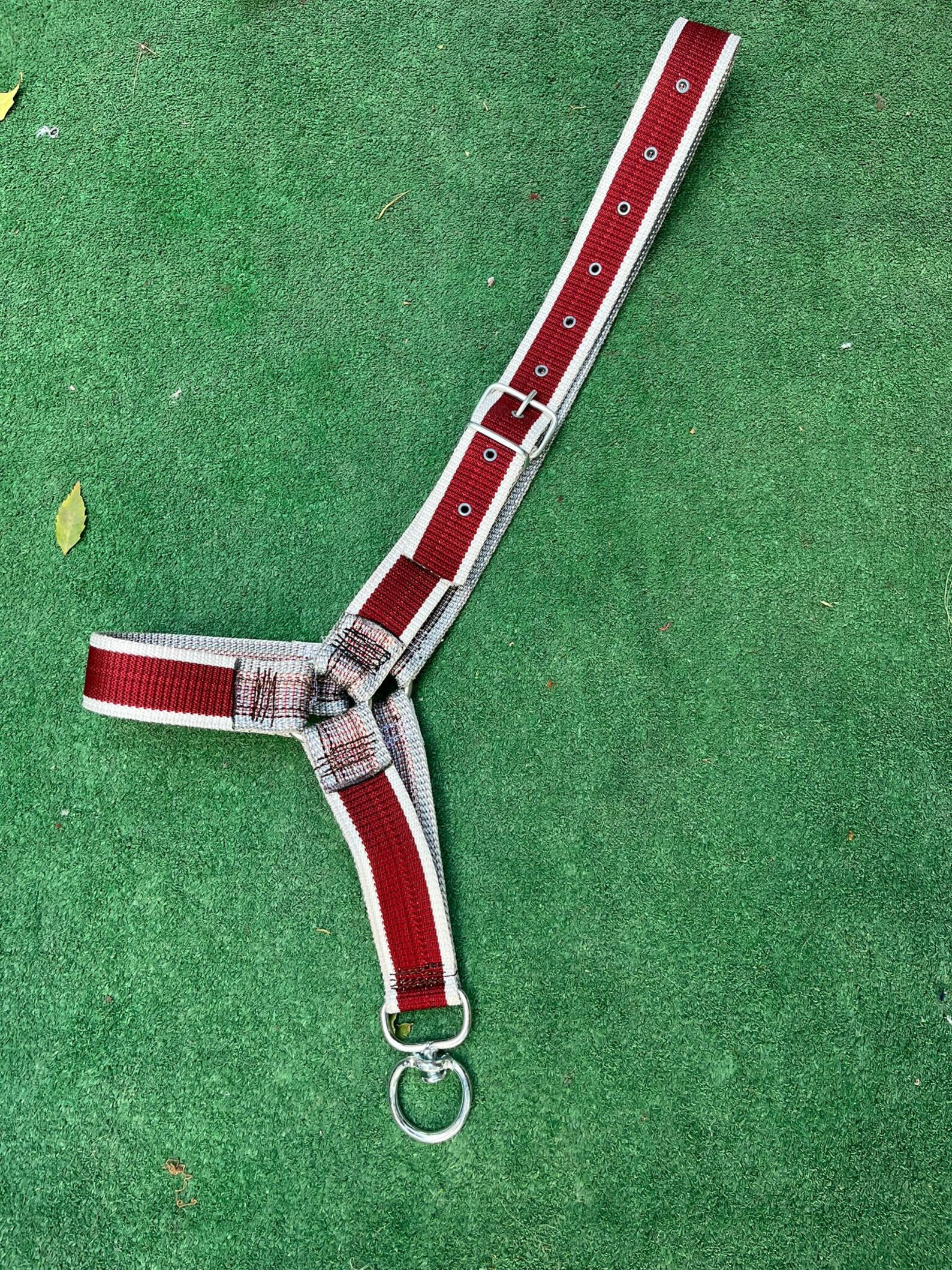 Webbing Cow Halter Adjustable Standard Size With Bell Option - Etsy