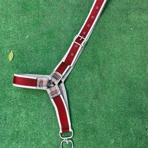 Webbing Cow Halter Adjustable Standard Size With Bell Option - Etsy