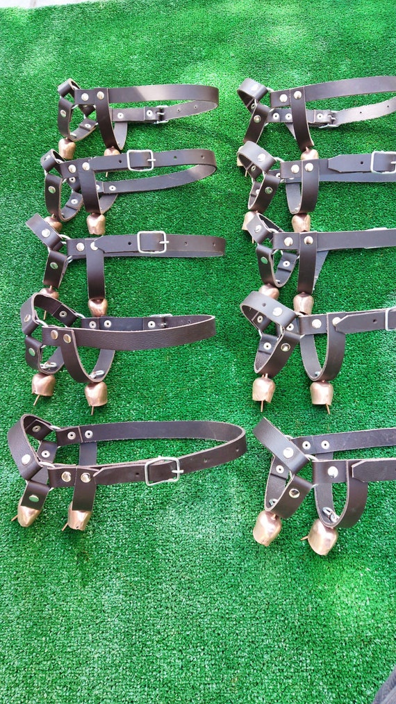 Leather Goat Sheep Halter Headband Adjustable Standard Size - Etsy