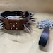3' Spiky Wide Dog Collar Chain Set Buffalo Leather M/L/XL/XXL - Etsy