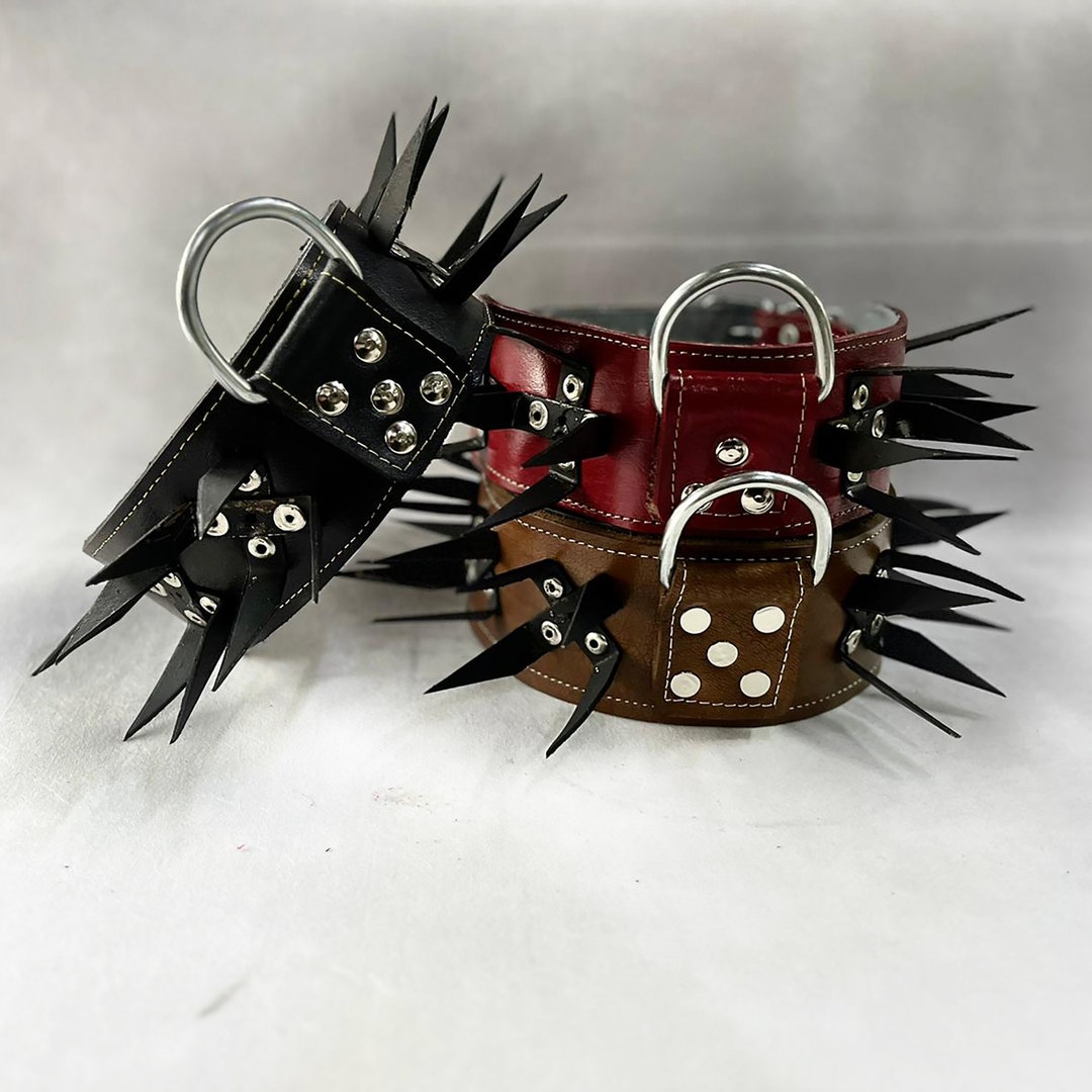 3' Spiky Wide Dog Collar Chain Set Buffalo Leather M/L/XL/XXL - Etsy