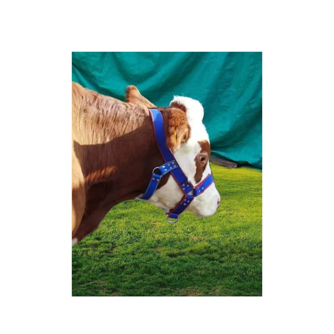 Webbing Cow Halter Adjustable Standard Size With Bell Option - Etsy