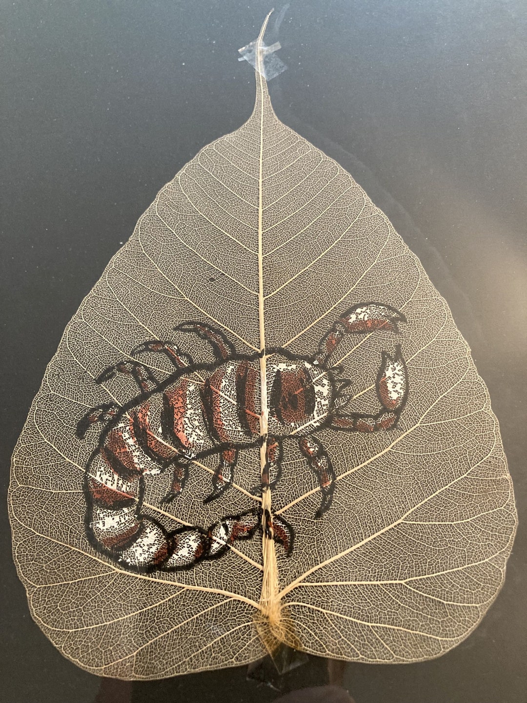 Zodiac Sign Painted on Tree Leaf. Scorpio. Leafscor - Etsy