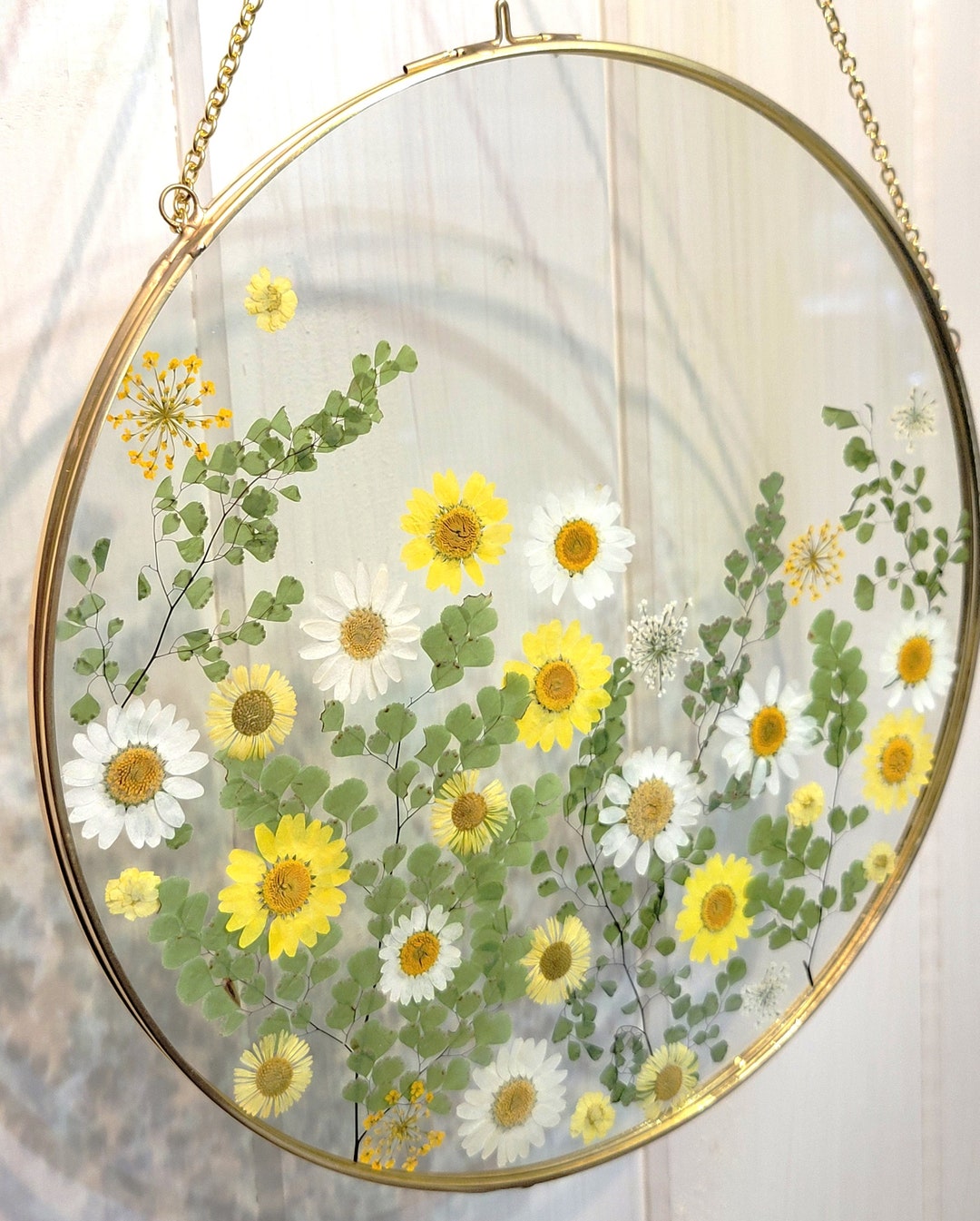 Pressed Flower Glass Floating Glass Frame, Window Art, Daisies, Double ...