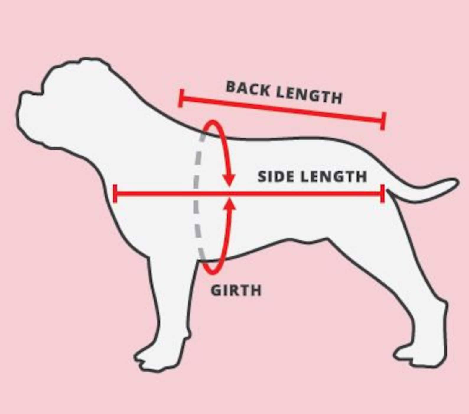 Whelping Box Weaning Box Medium Puppy Pen - Etsy