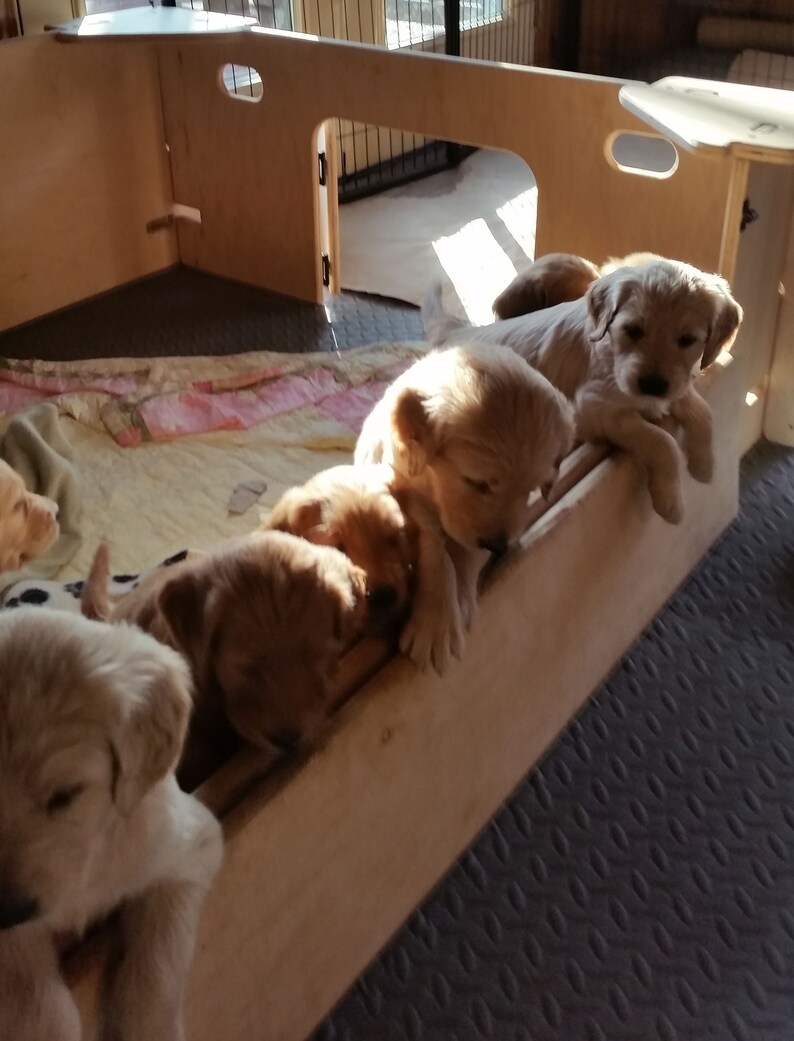 Whelping Box Weaning Box Large Dog/puppy Pen Quickwhelp - Etsy