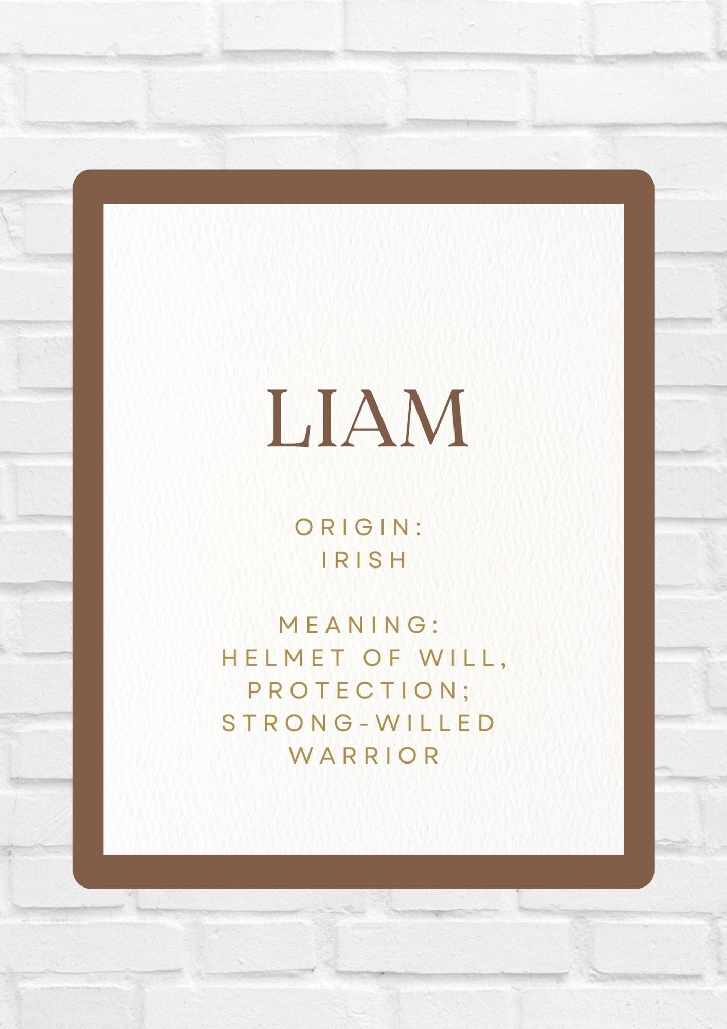 LIAM Baby Name Meaning Printable Baby Names Nursery Sign Boy Names ...