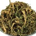 Epazote Chenopodium Ambrosioides - Semi Contra. Loose Leaves -organic ...