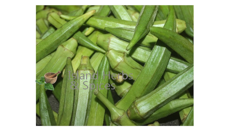 Organic Dried Okra Powder (abelmoschus Esculentus) - Etsy