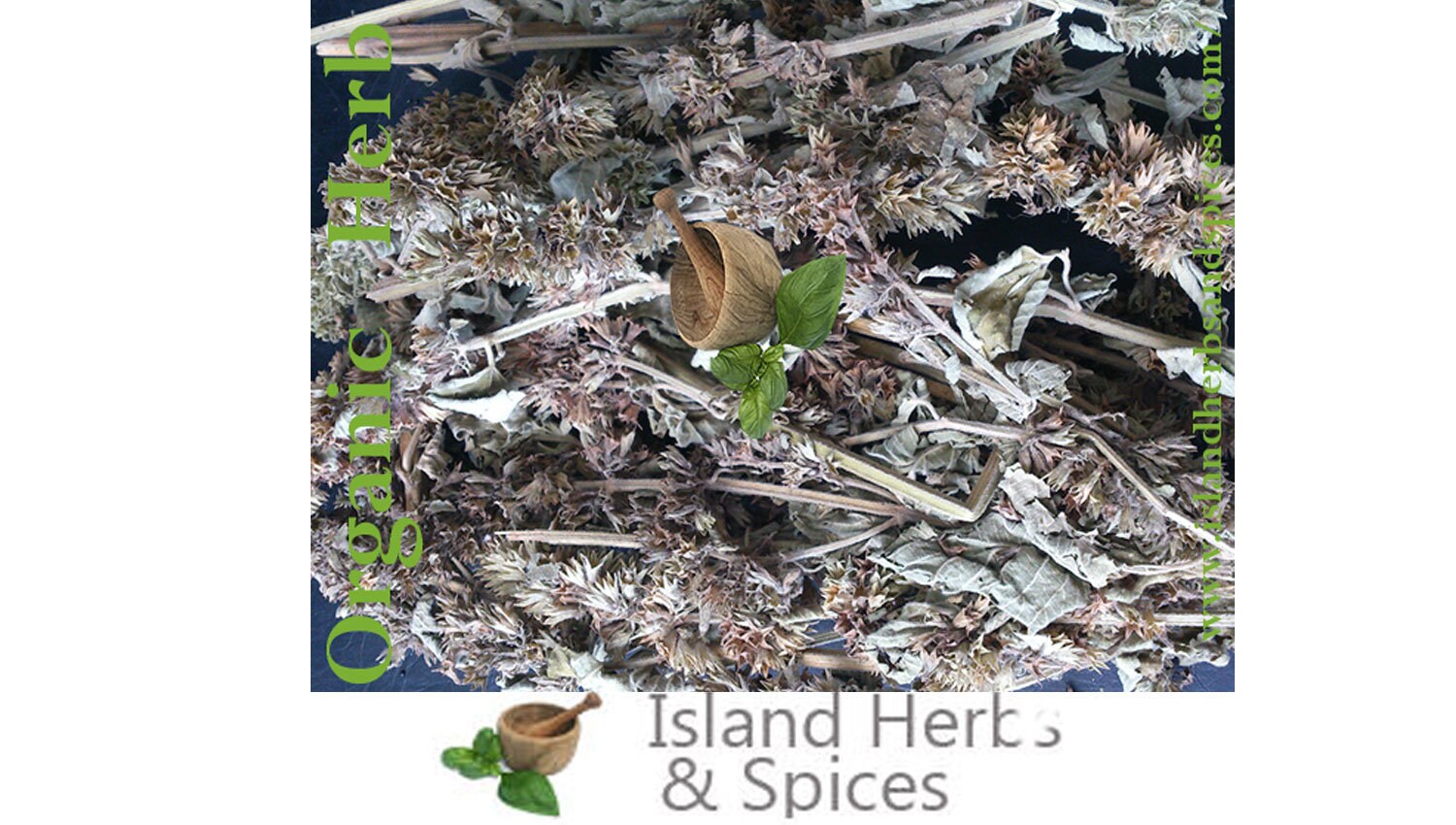 Hyptis Pectinata – Woman Piaba - Medicinal Herb - Etsy