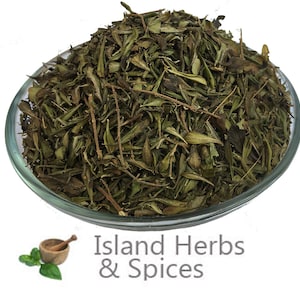 Dried Jamaican Mint Tree, Kama Sutra Menta - Etsy