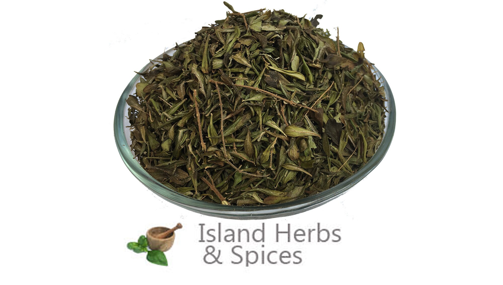 Dried Jamaican Mint Tree Kama Sutra Menta - Etsy