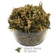 Epazote Chenopodium Ambrosioides - Semi Contra. Loose Leaves -organic ...