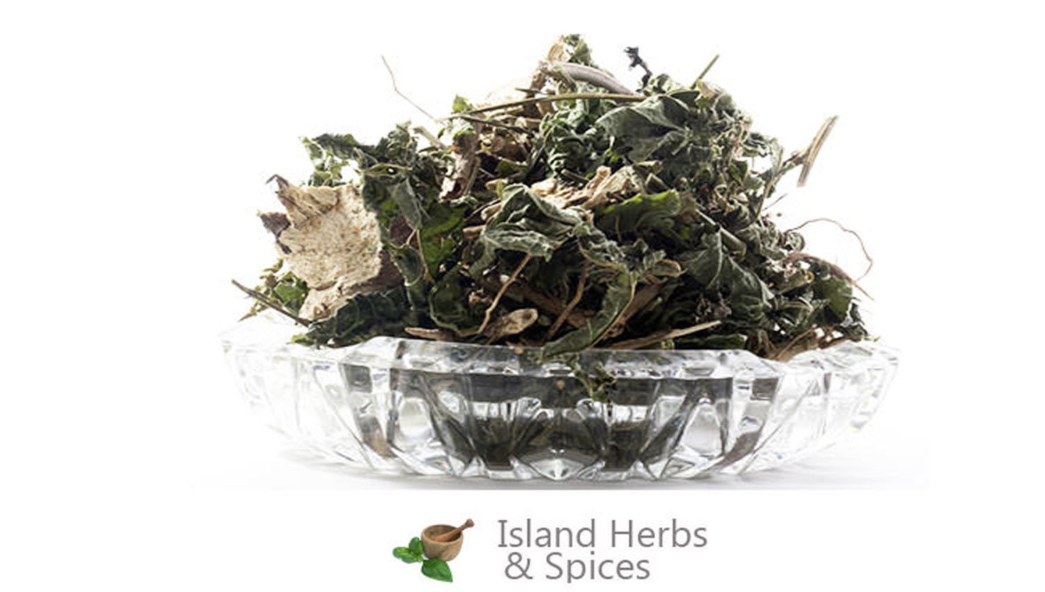 Anamu Herb guinea Henweed Tea Bags 36 Tea Bags - Etsy