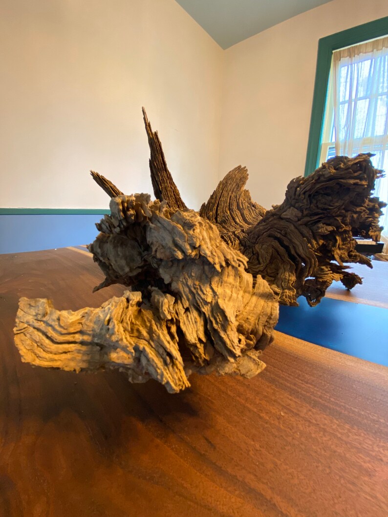 Beautiful Drift Wood, Carved by Time Itself - Etsy