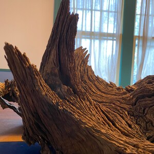 Beautiful Drift Wood, Carved by Time Itself - Etsy