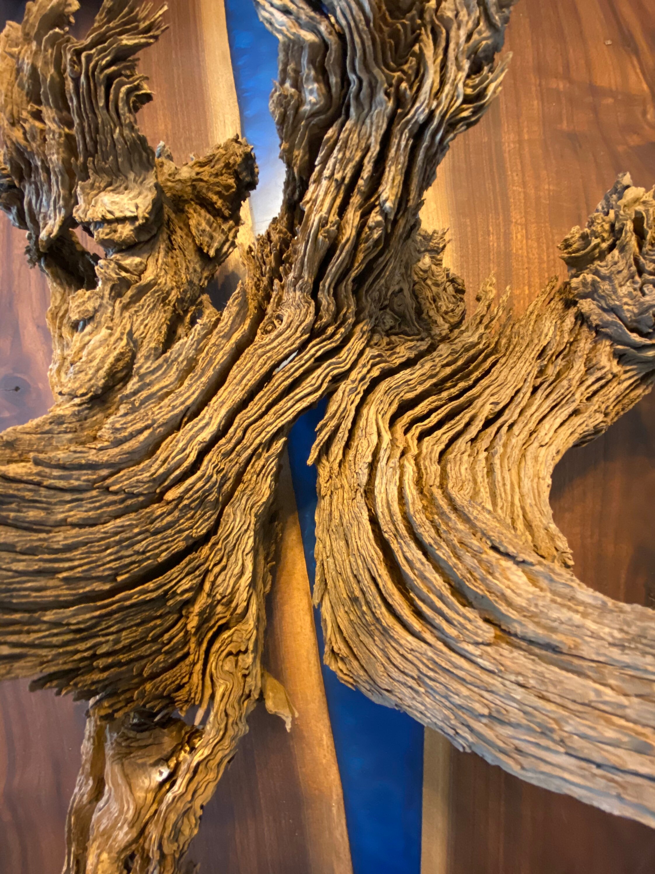 Beautiful Drift Wood, Carved by Time Itself - Etsy