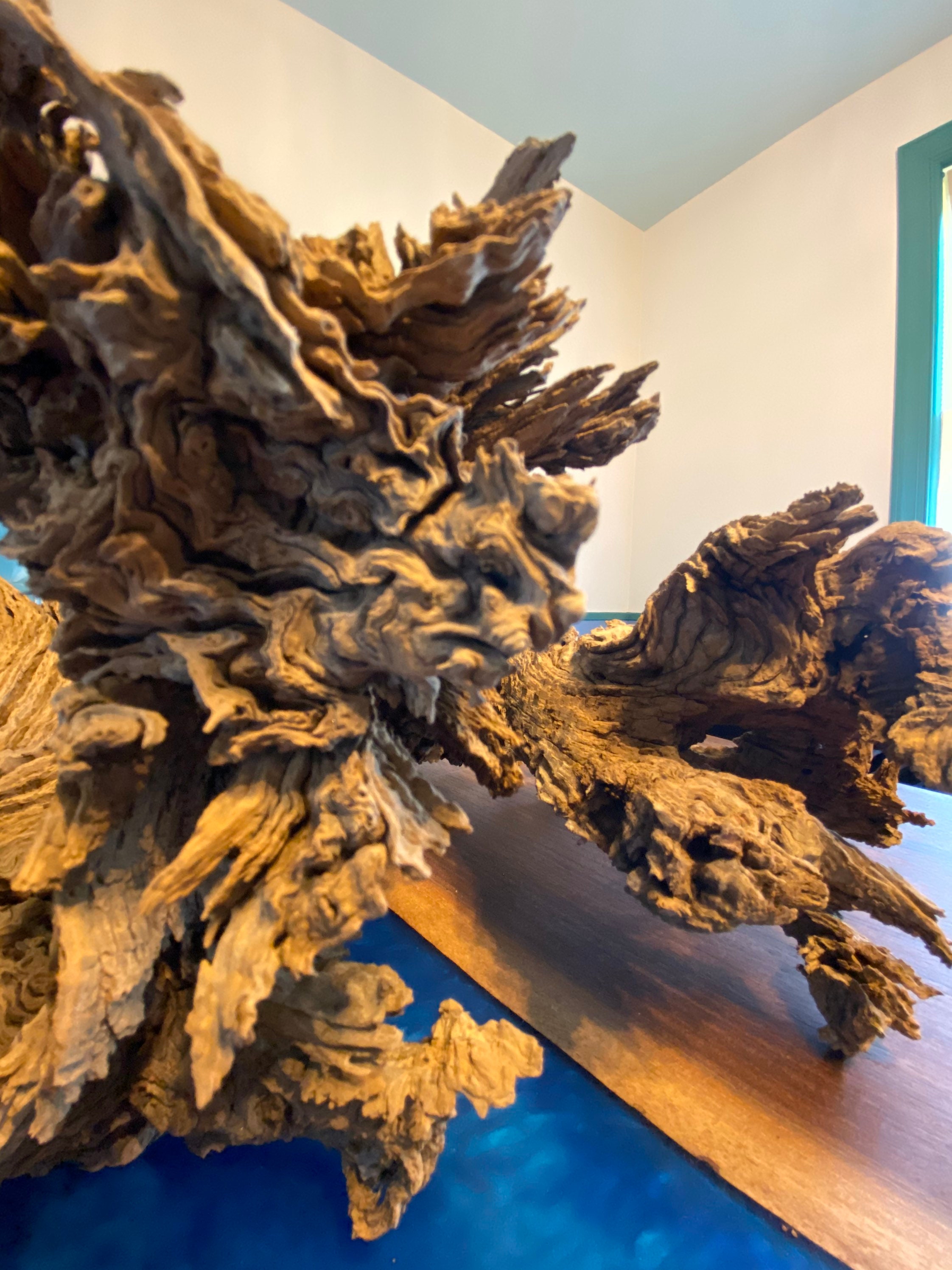 Beautiful Drift Wood, Carved by Time Itself - Etsy