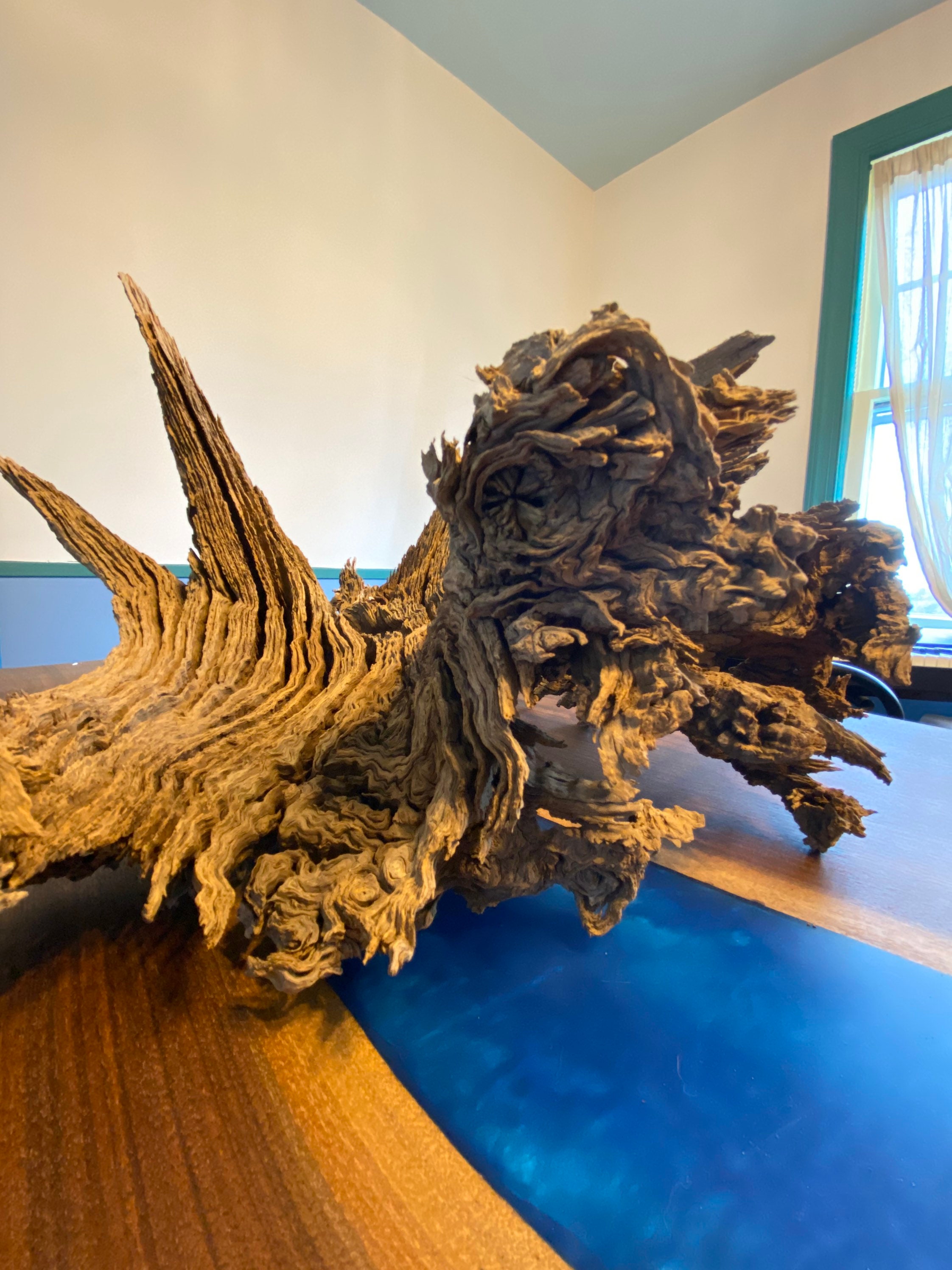 Beautiful Drift Wood, Carved by Time Itself - Etsy