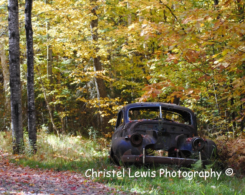 1940 Chevy Photography Print, Chevy in the Woods Photo, Abandoned Chevy ...