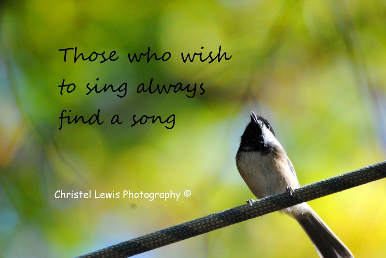Inspirational Singing Chickadee Chickadee Photographysinging - Etsy