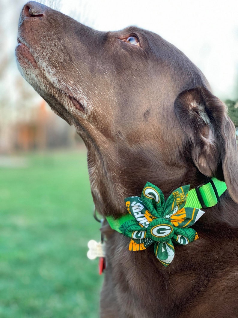 Green Bay Packers Dog Flower Self-fastening - Etsy