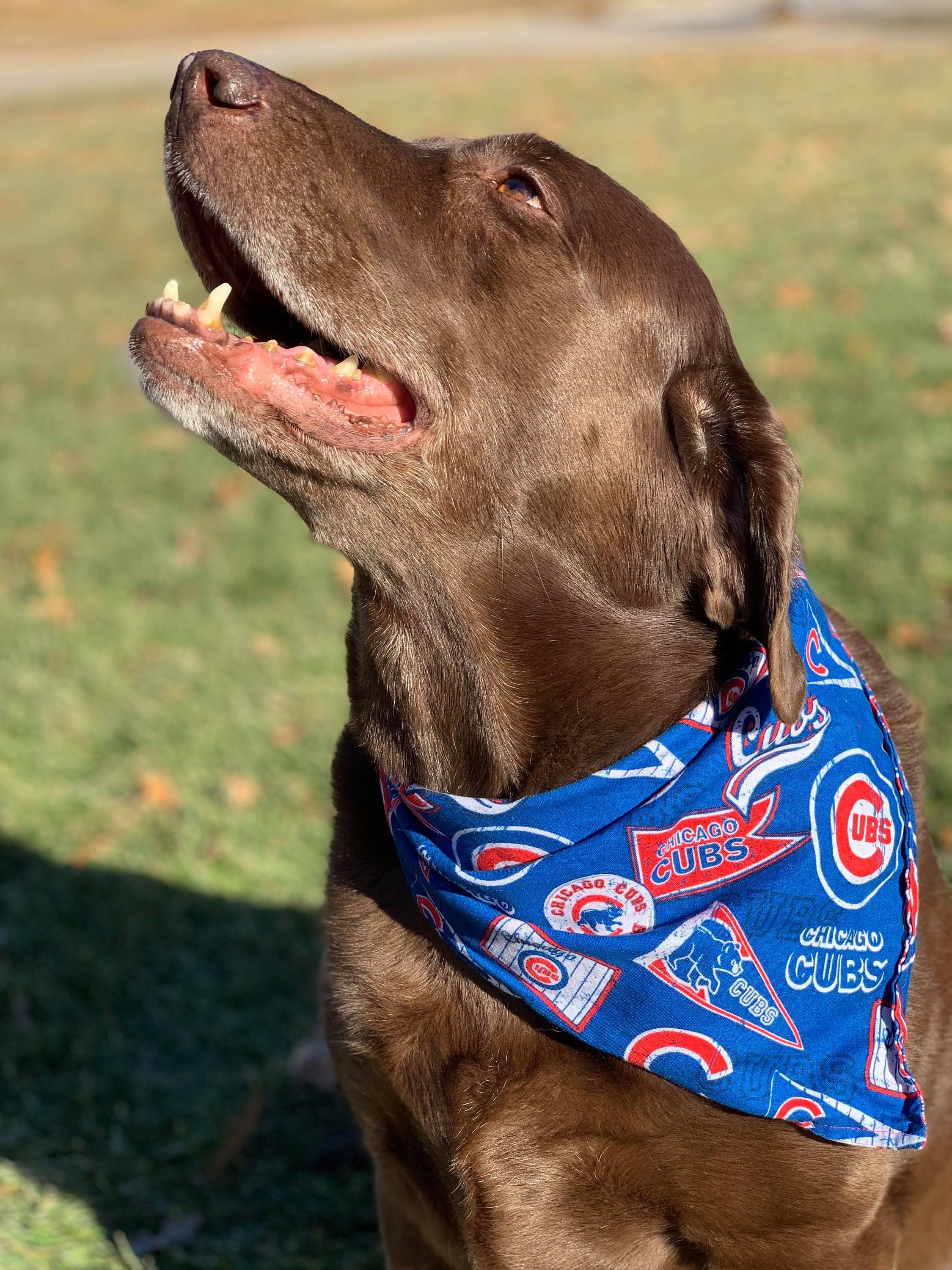 Chicago Cubs-kb Dog Bandana; Tie On - Etsy