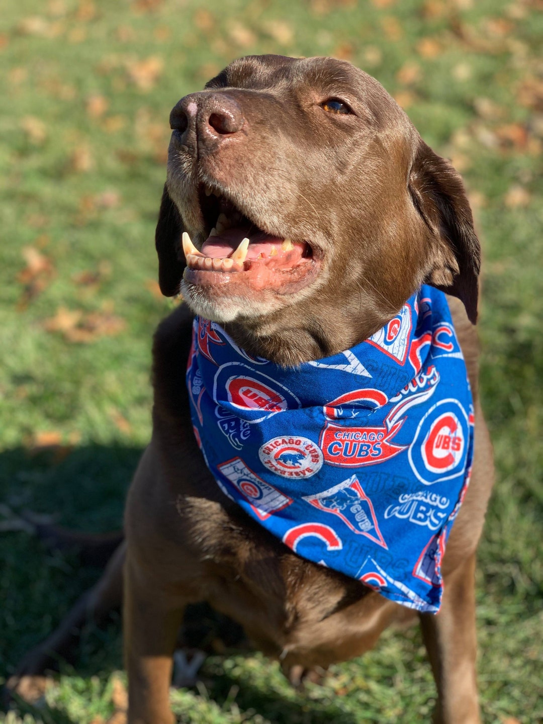 Chicago Cubs-kb Dog Bandana; Tie On - Etsy