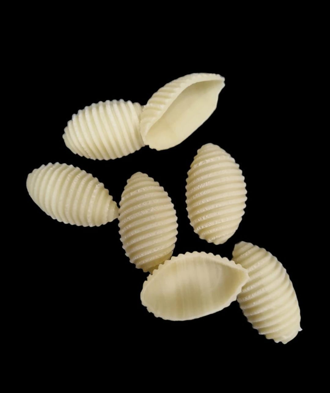 Philips Pasta Disc - Riccioli, Riccioli U, Mini Soup Shell, Pinched ...