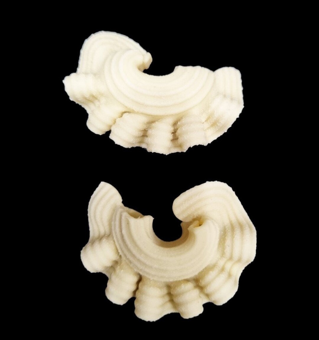 Philips Pasta Disc - Canestri, Rigatoni, Pacchero and Creste - Etsy