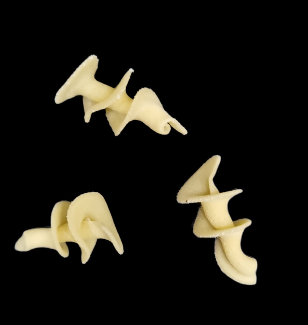 Philips Pasta Disc - Filetto, Trecce Rigati, Silatelli, Fusilli Rigati ...