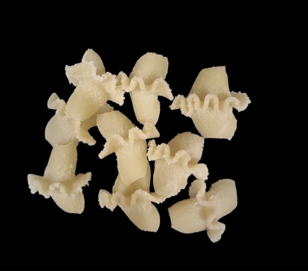 Philips Pasta Disc- Fleckerl/farfalle and Conchiglia Cresta - Etsy