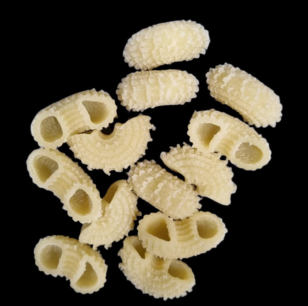 Philips Pasta Disc - Canestri Rigati, Rings, Rigatoni Rigati, Rigatoni ...